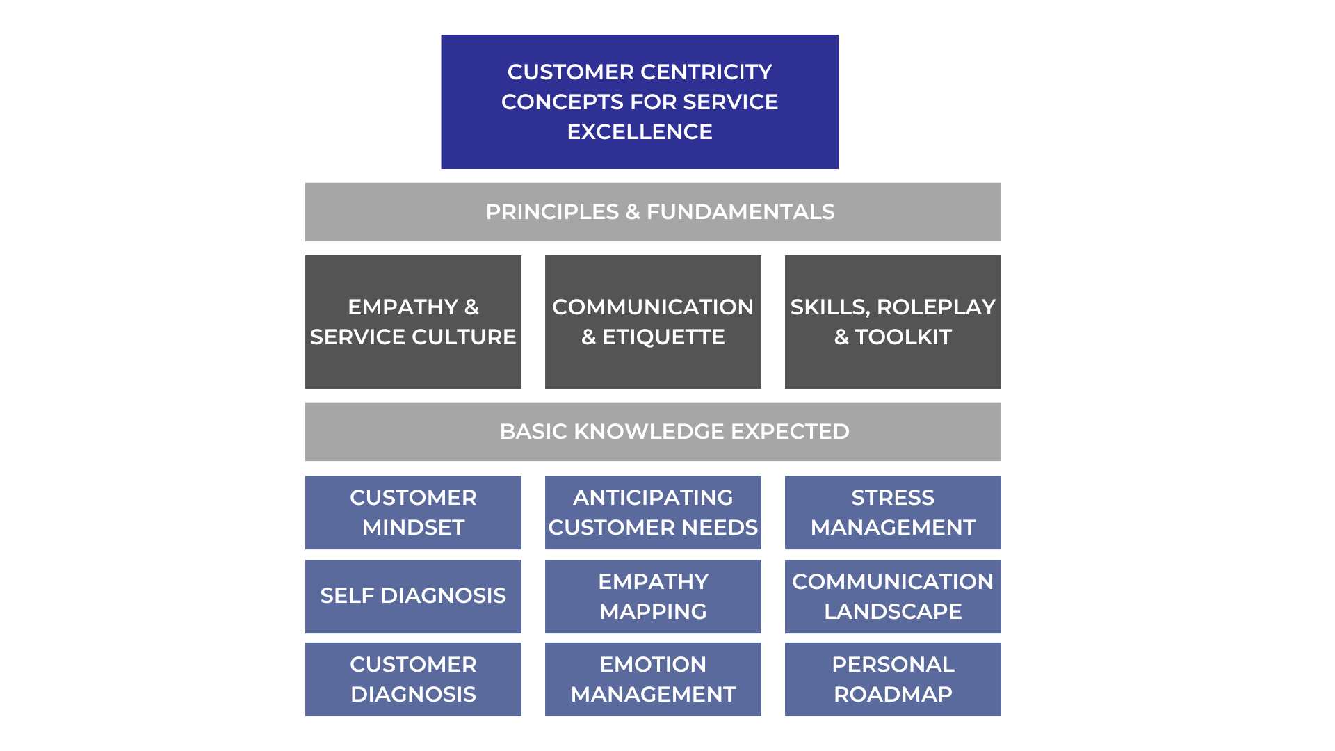 Customer Service Certifications – CXSA Institute